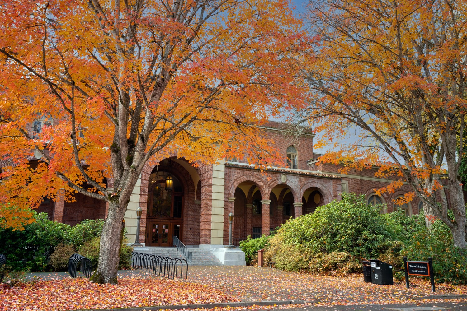 Oregon State - Trip on Sports